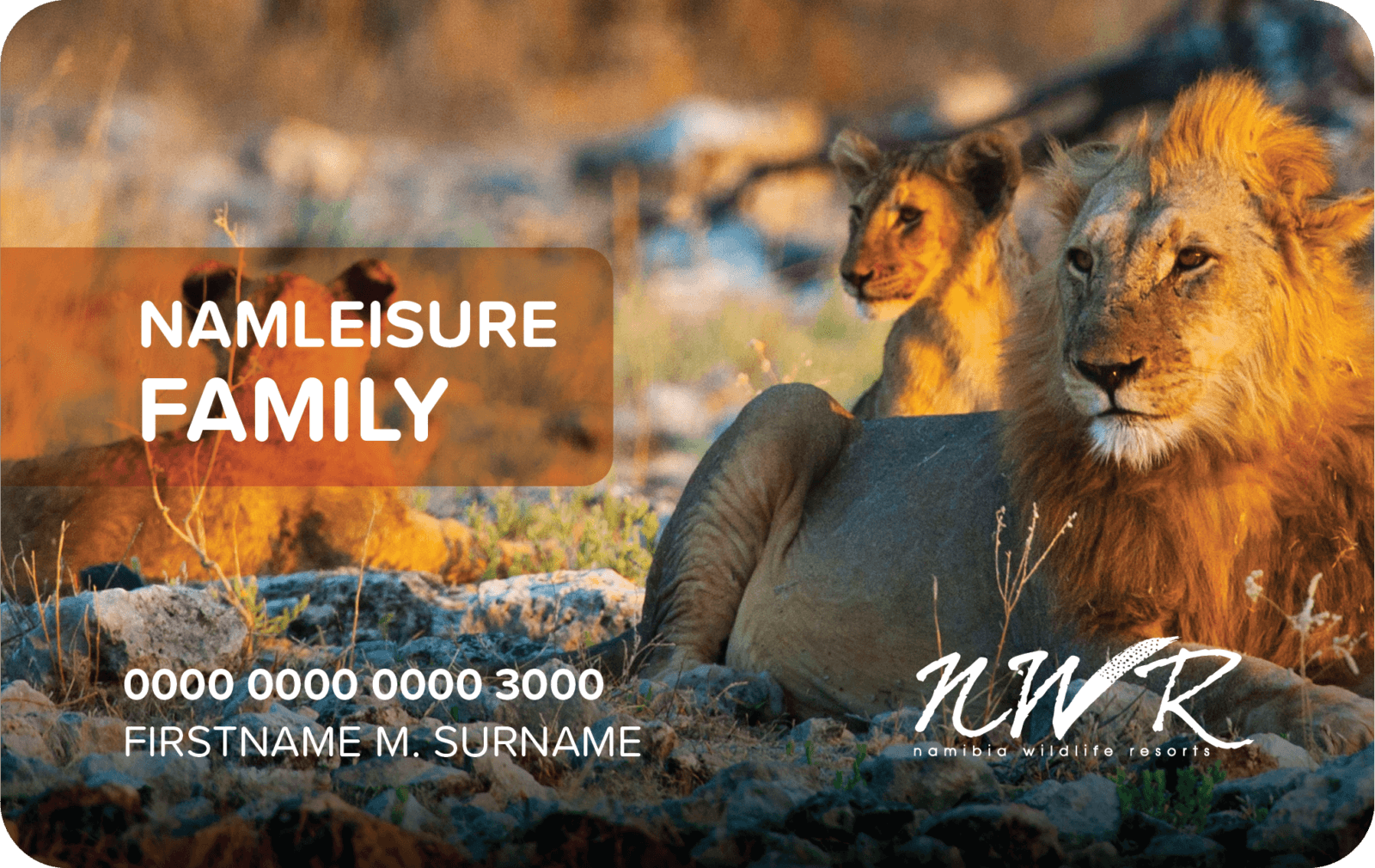 NamLeisure Cards - Namibia Wildlife Resorts