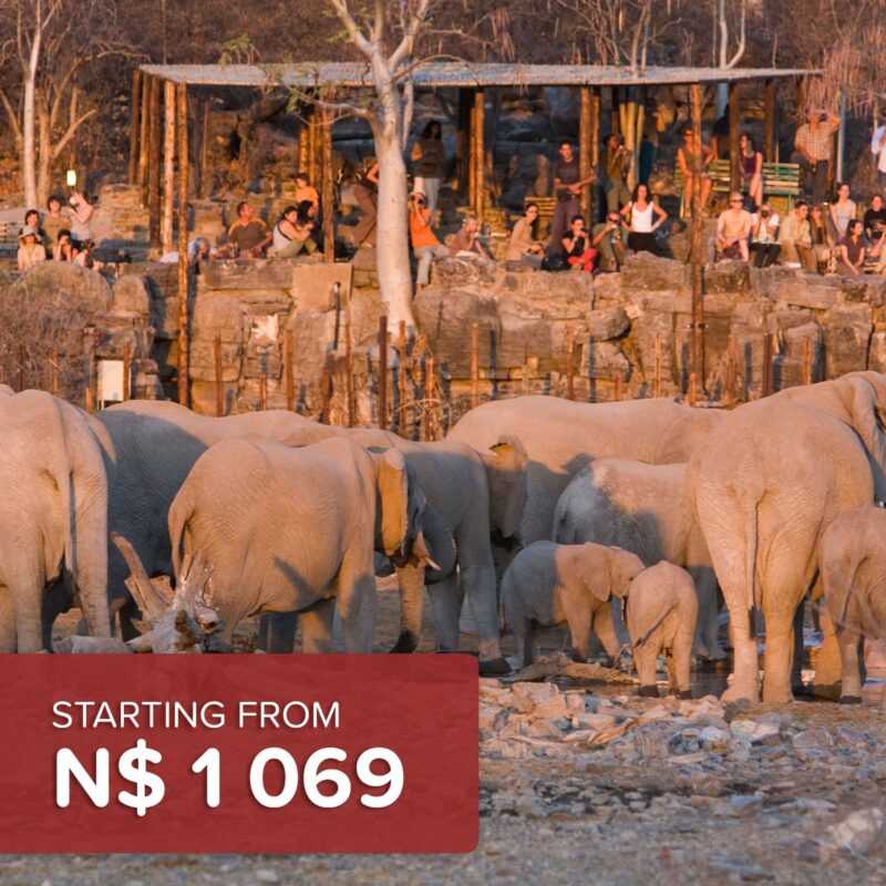Resorts - Namibia Wildlife Resorts