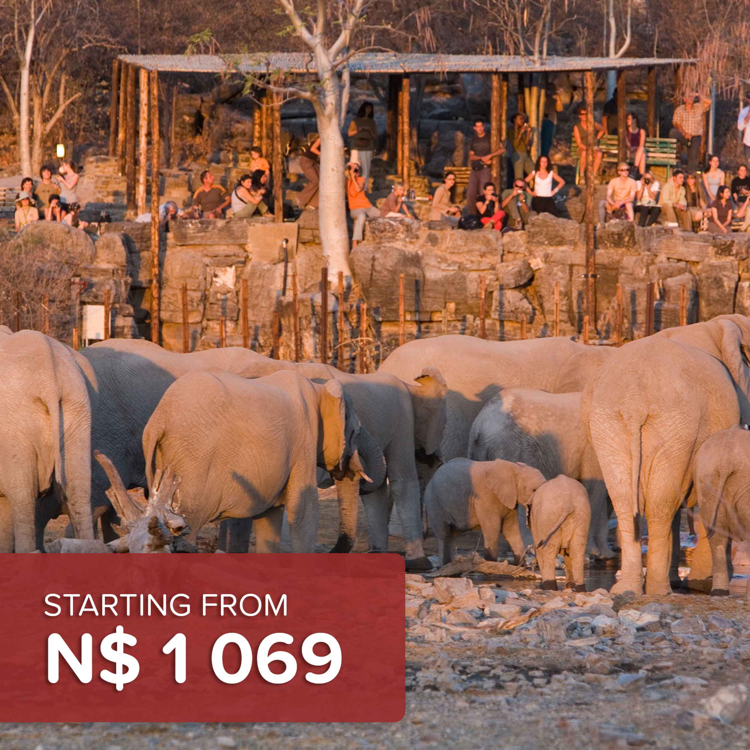 Halali Resort - Namibia Wildlife Resorts