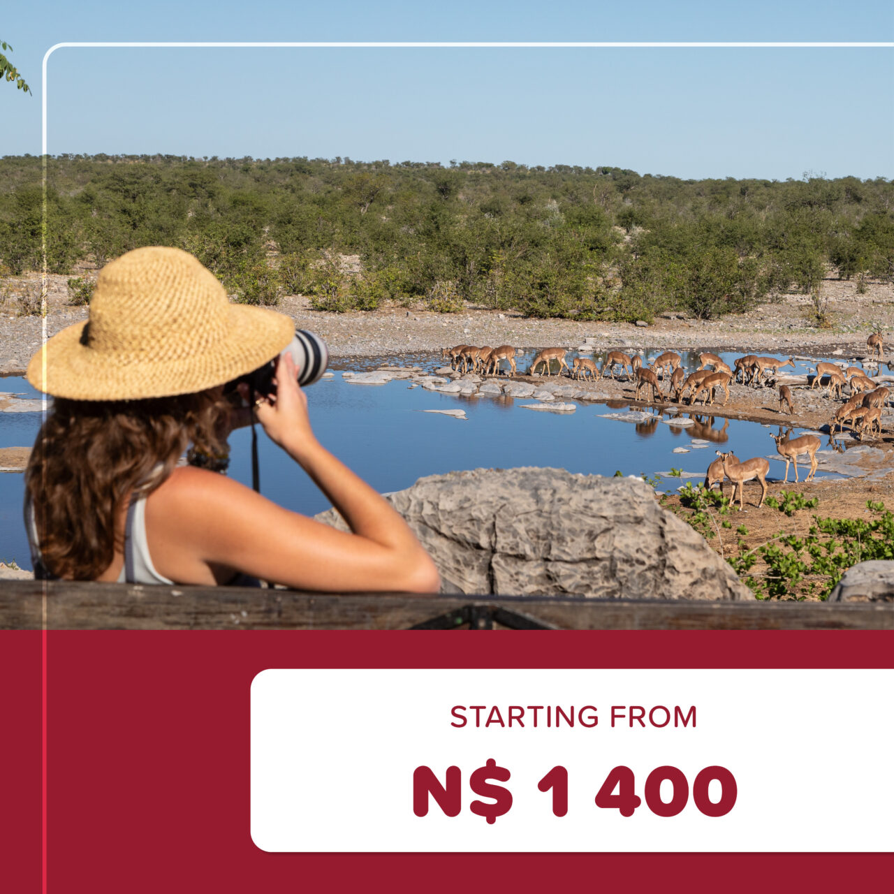 Resorts - Namibia Wildlife Resorts