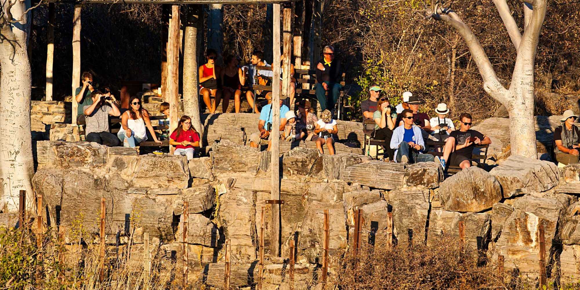 Halali Resort - Namibia Wildlife Resorts