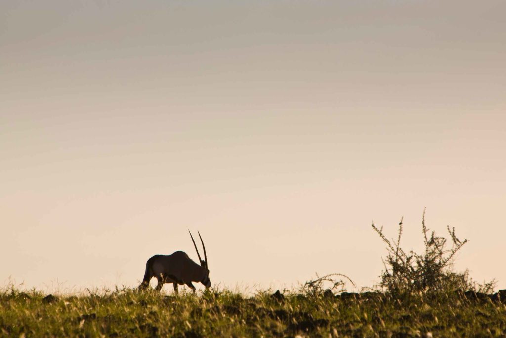 Hardap Resort - Namibia Wildlife Resorts