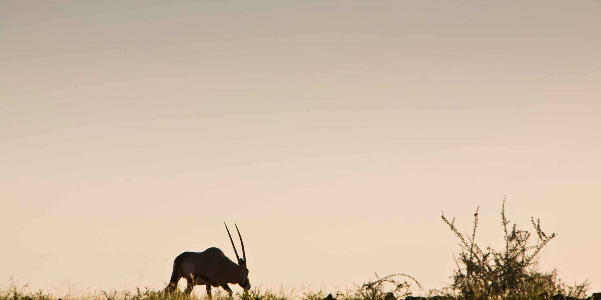 Hardap Resort - Namibia Wildlife Resorts