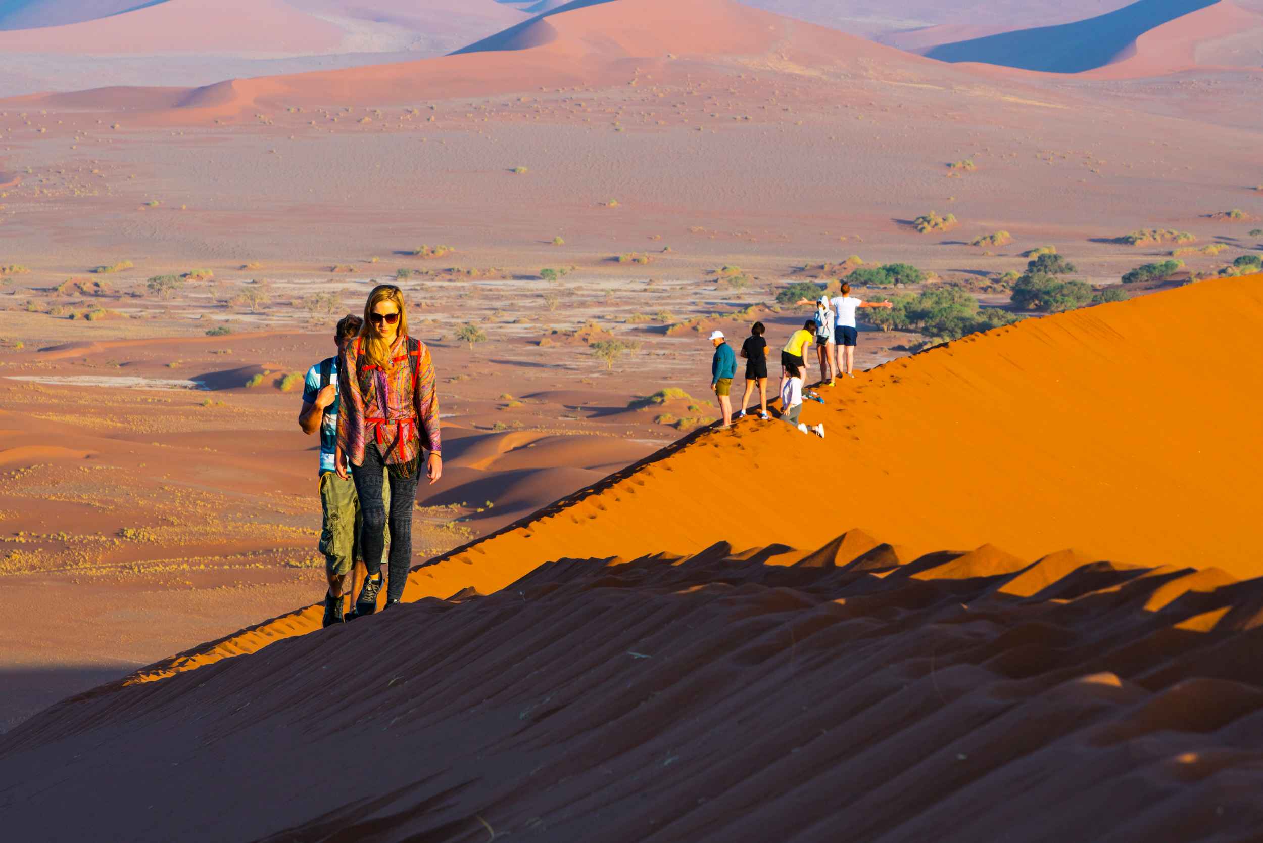 NWR Announcement on Shuttle Service Update in the Sossusvlei Area ...