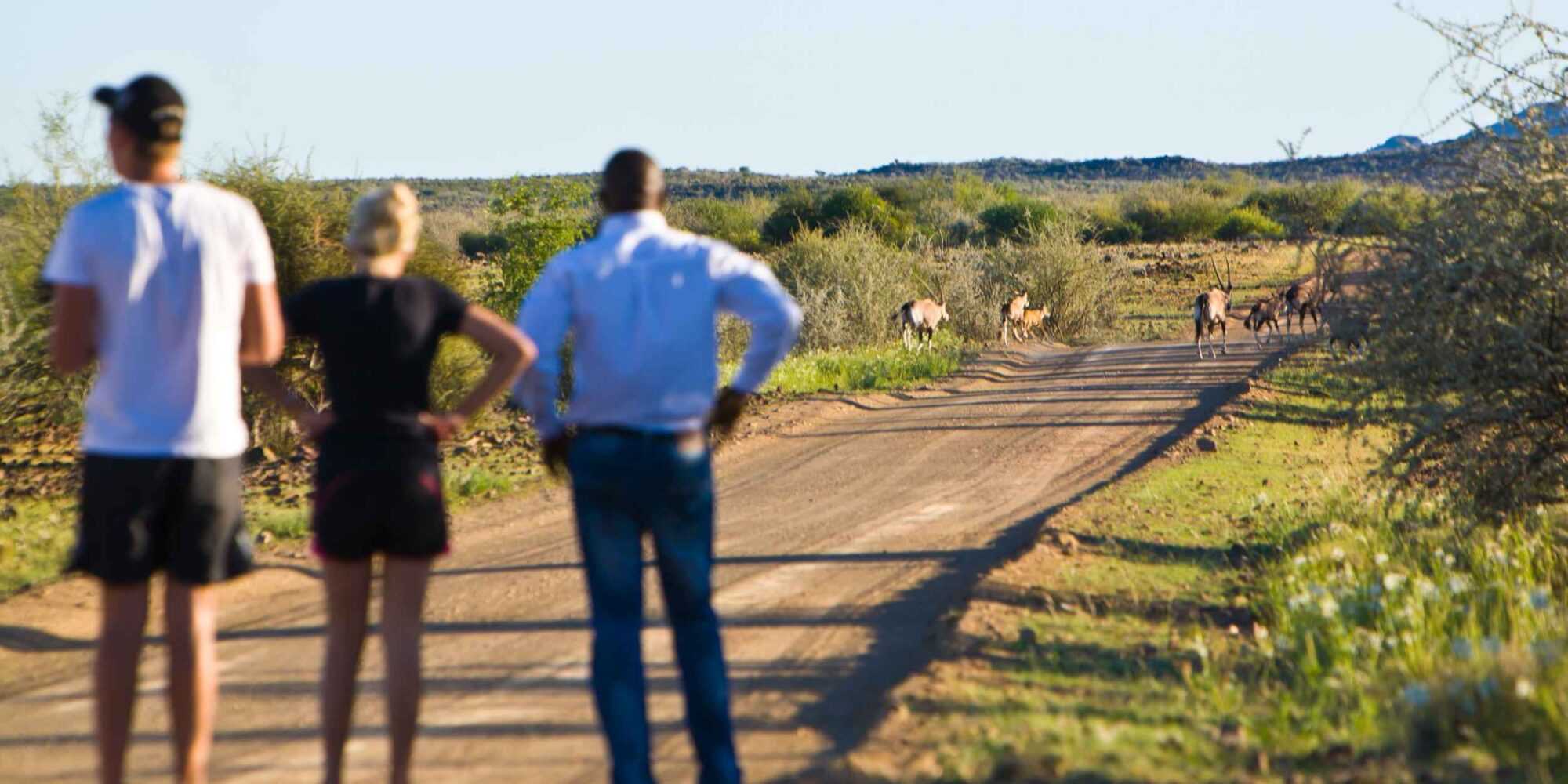 Hardap National Park - Namibia Wildlife Resorts