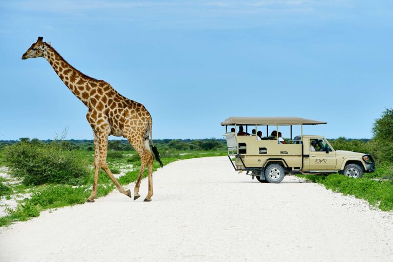 Namutoni Resort - Namibia Wildlife Resorts