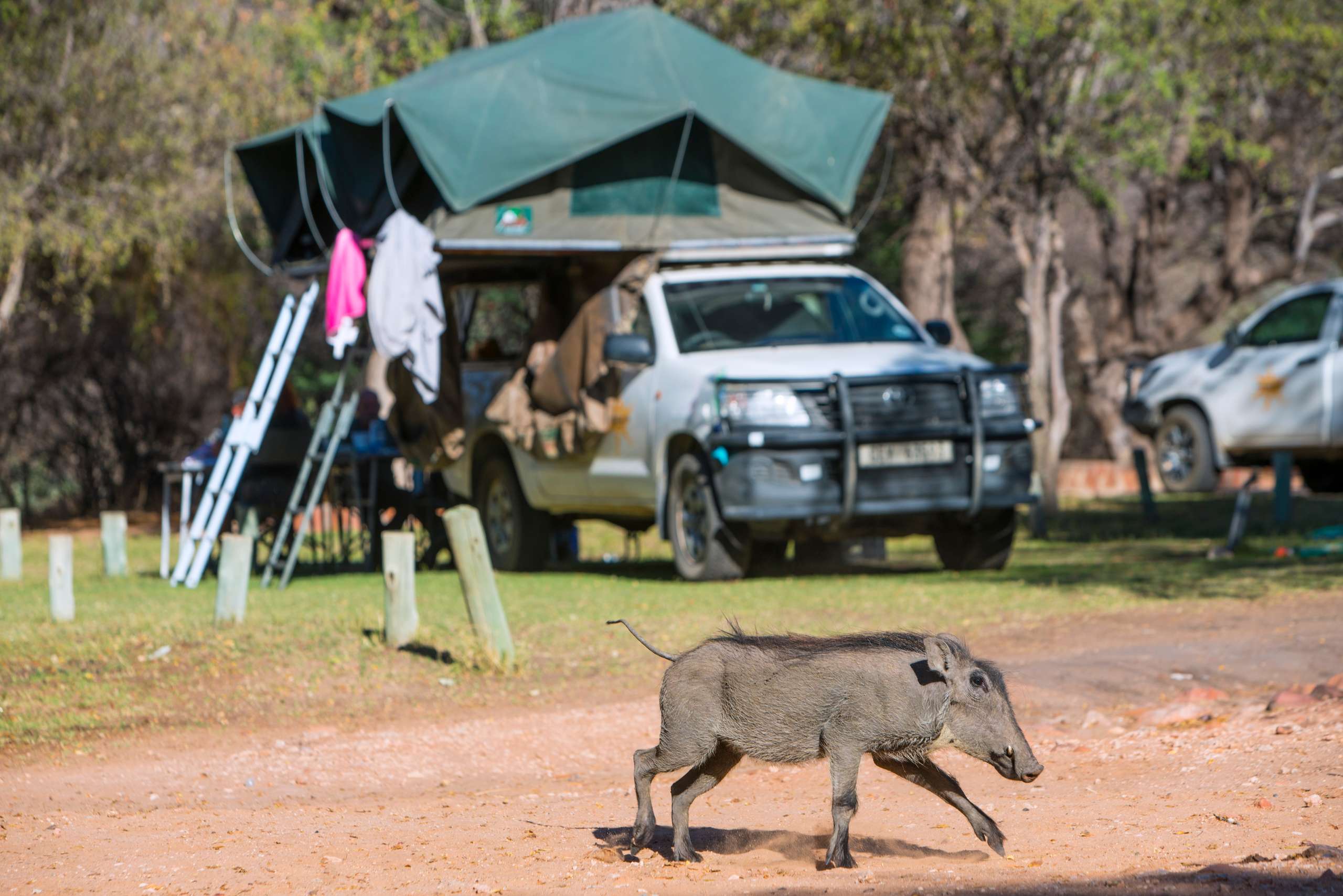 NWR Expands Namleisure Card Benefits to Include Camping - Namibia ...